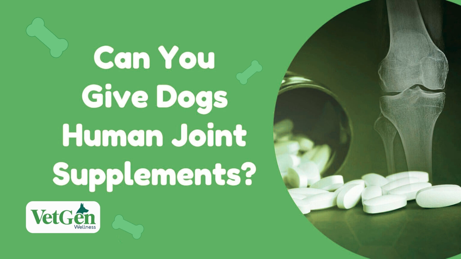 Can Dogs Safely Take Human Joint Health Supplements?