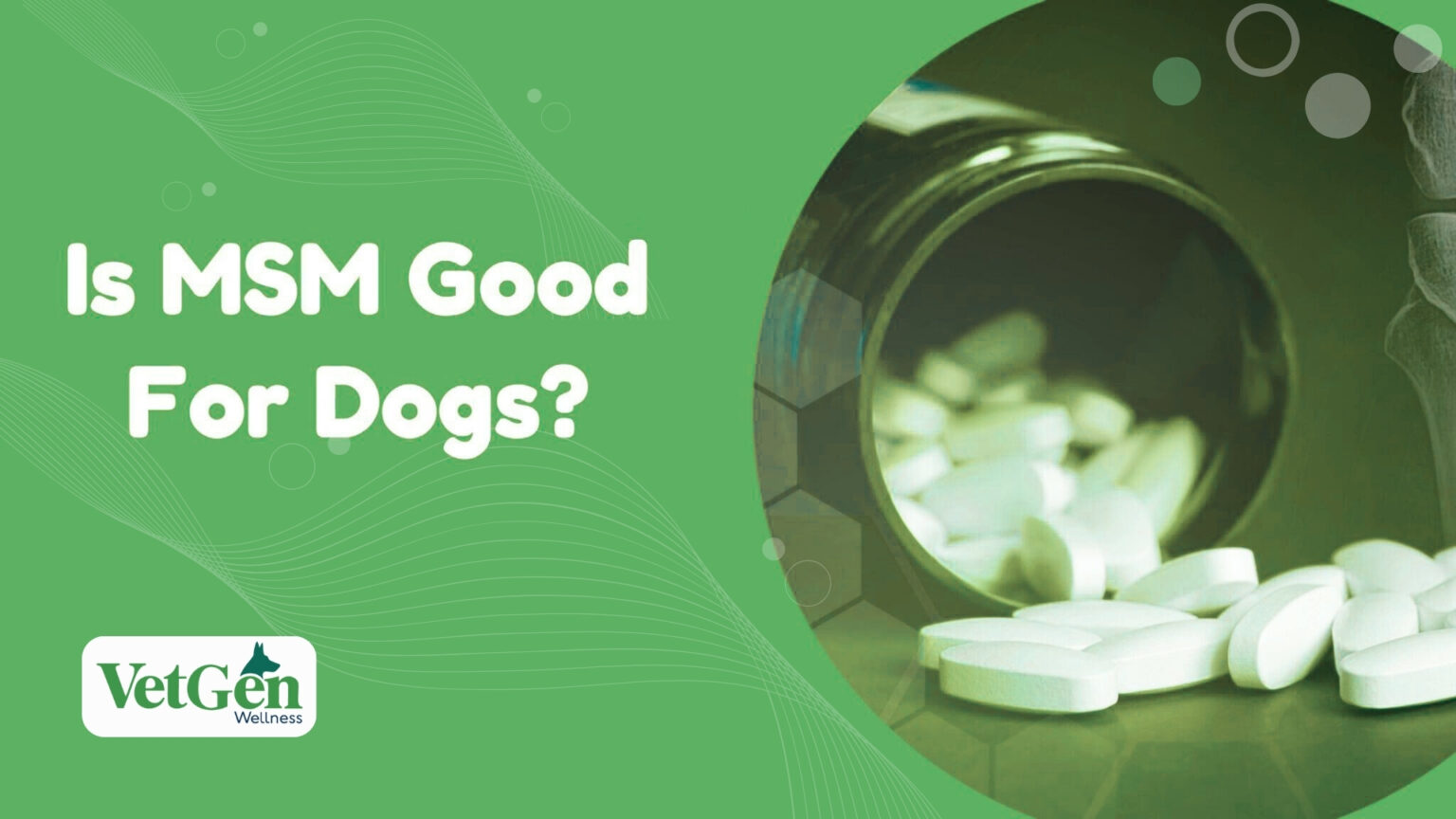Is MSM Good For Dogs? - VetGen Wellness